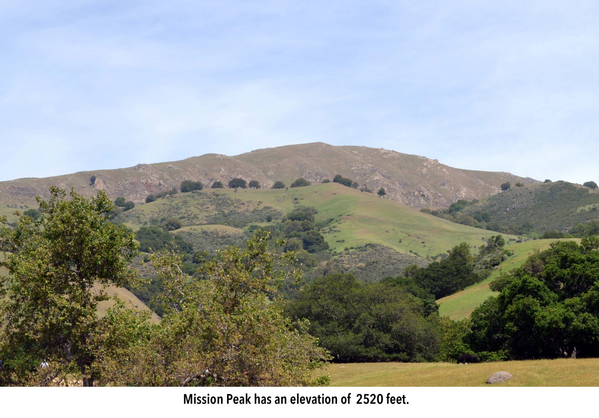 Frequently Asked Questions - Mission Peak Unitarian Universalist ...
